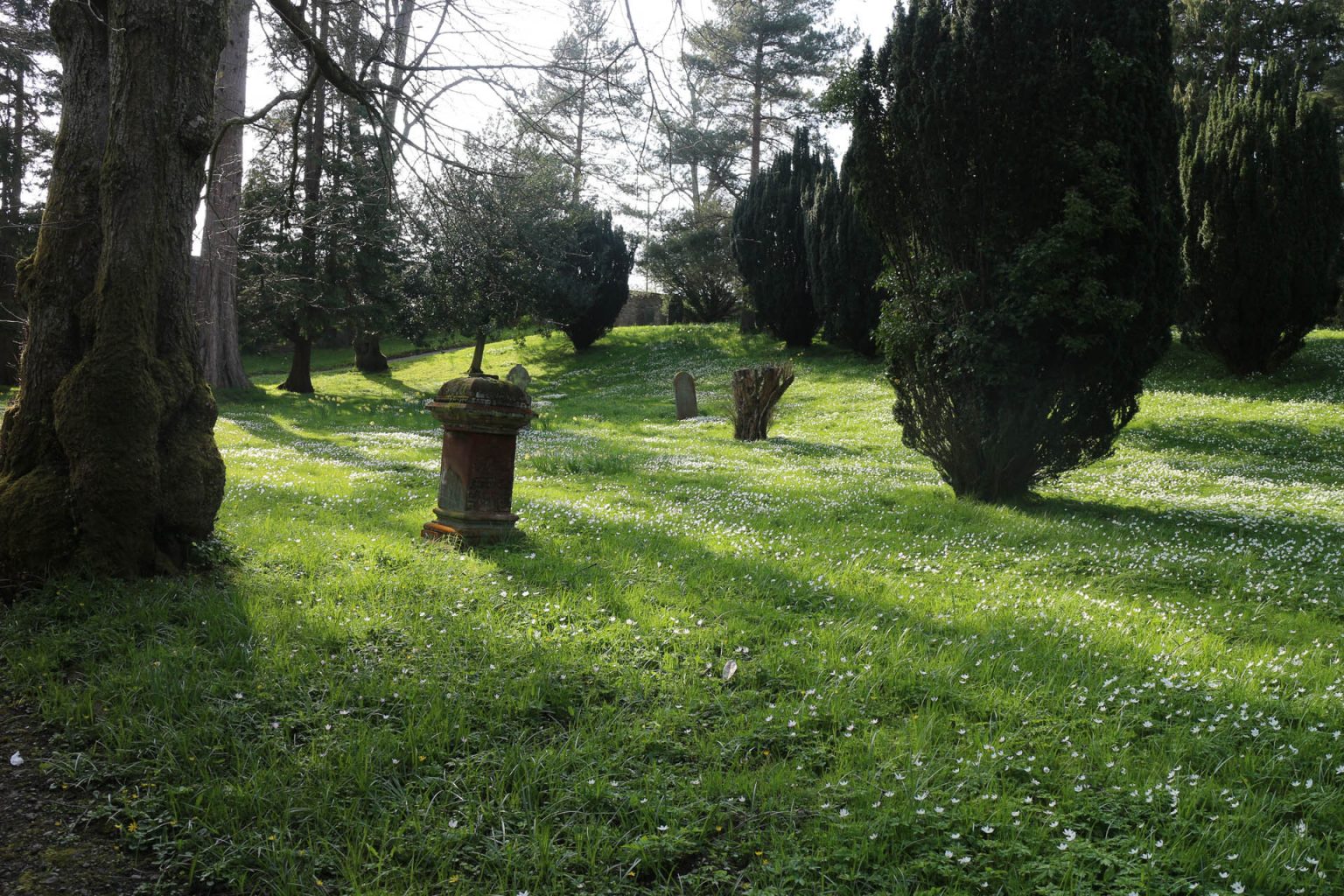 cockermouth cemetery